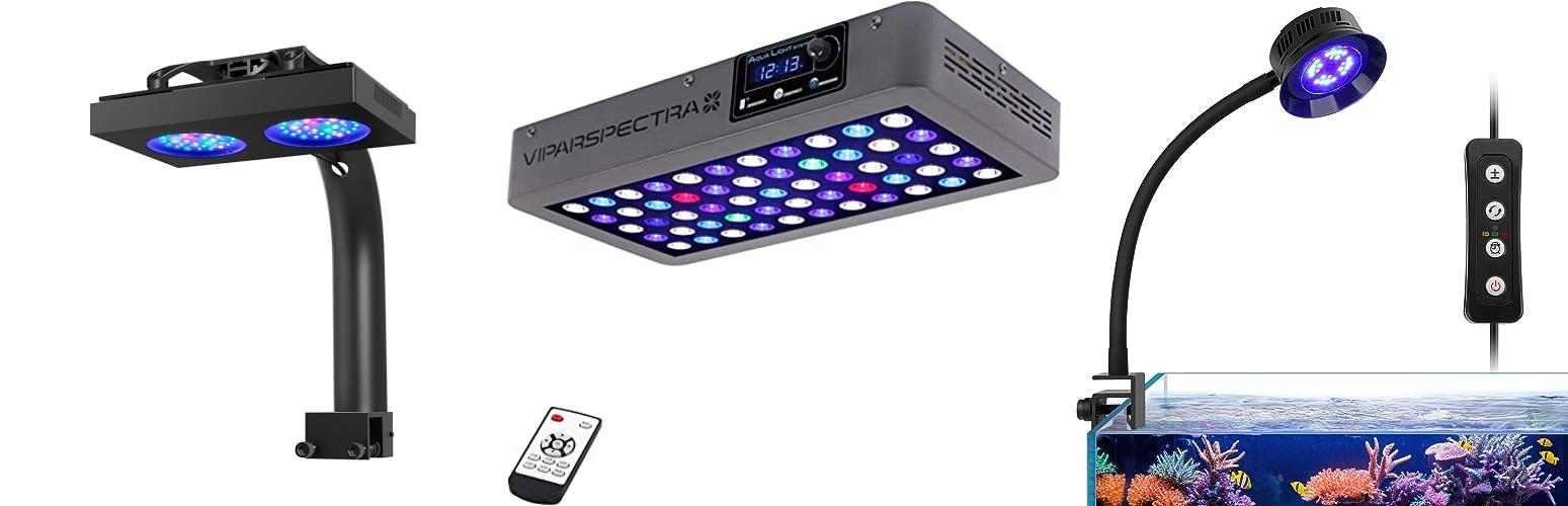 Top 5 LED Lights for Reef Tanks: Reviews & Buyer's Guide