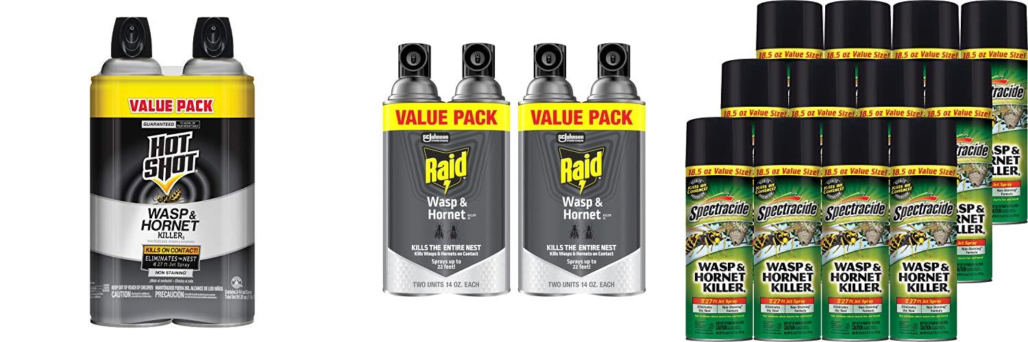 Top 5 Bee Killer Sprays: Reviews & Which One Is Best?