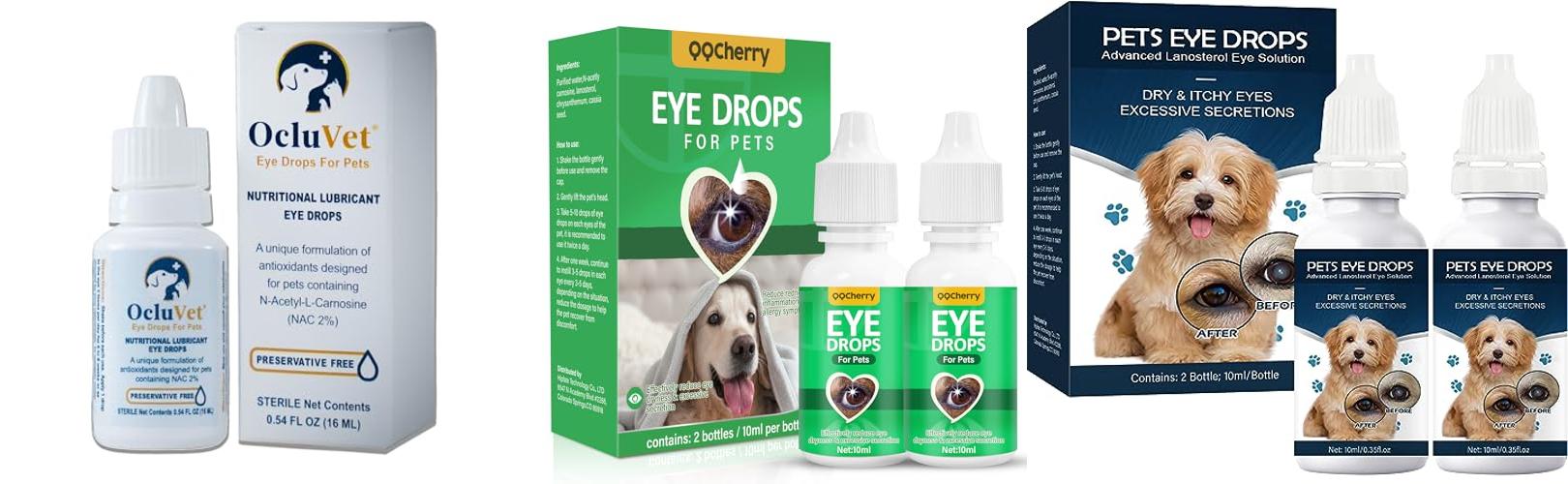 Top 5 Cataract Treatments For Dogs: A Vet's Honest Review