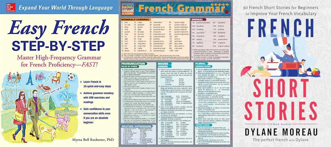 Top 5 French Books for Beginners: A Beginner's Reading Guide