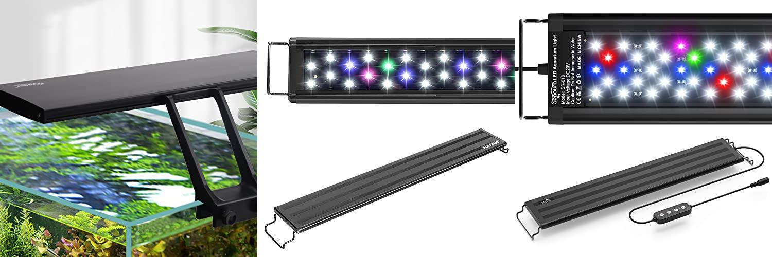 5 Best Freshwater Tank Lights: Reviews and Expert Buying Guide