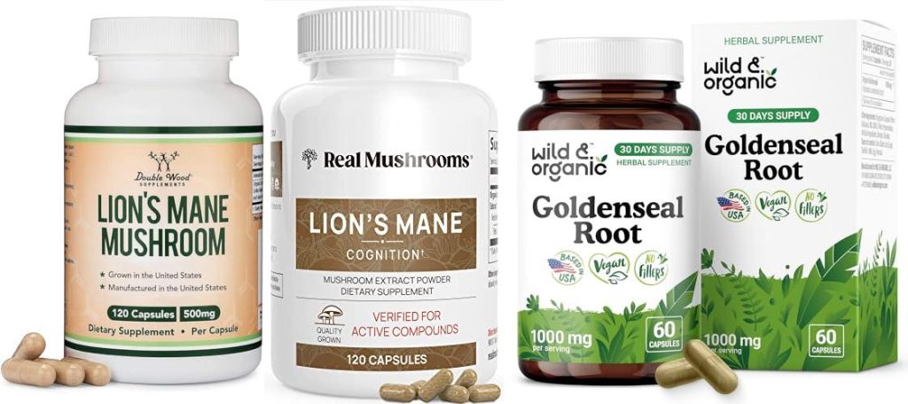 Top 5 Lions Mane Supplements: Reviews and Buyer's Guide