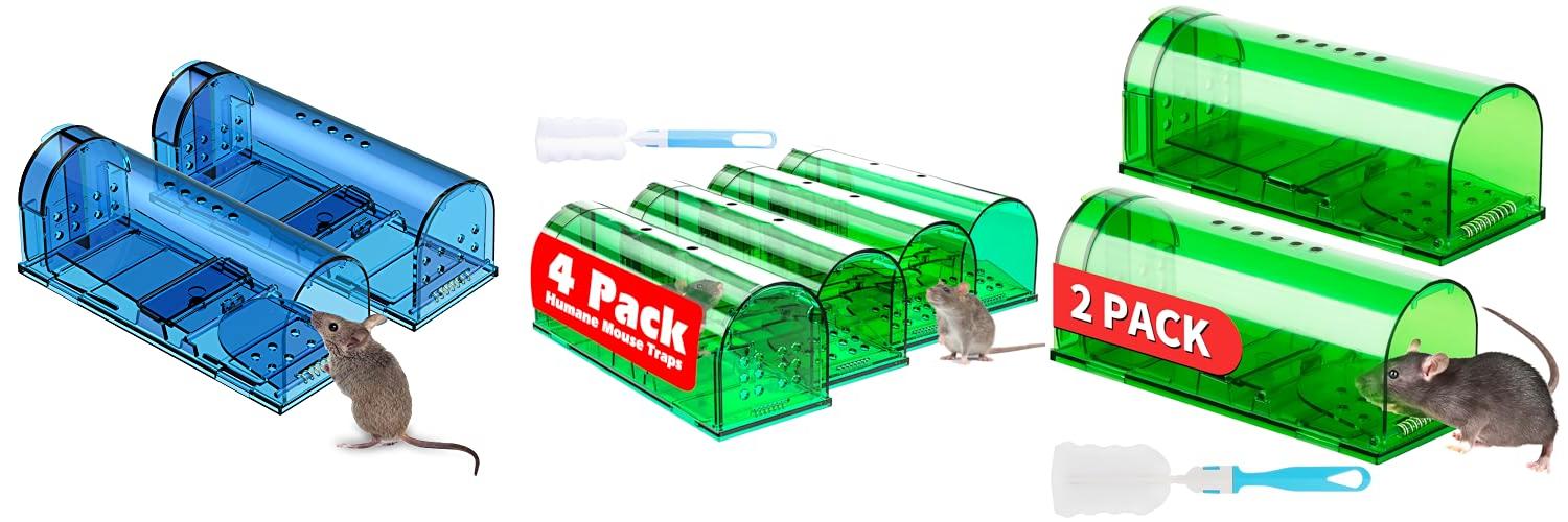 5 Best Live Mouse Traps: Keep Your Home Rodent-Free Safely!