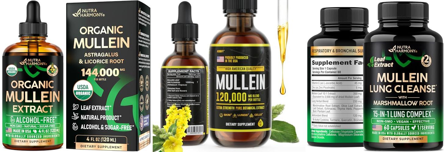 Top 5 Lung Cleanse Products: A Comprehensive Review & Guide