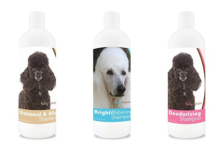 Top 5 Poodle Shampoos UK: Your Essential Guide