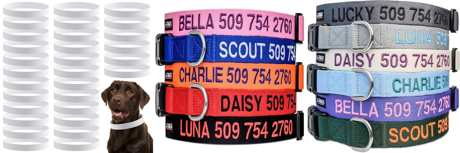 Best Dog Id Collars - Top 5 Picks & Review