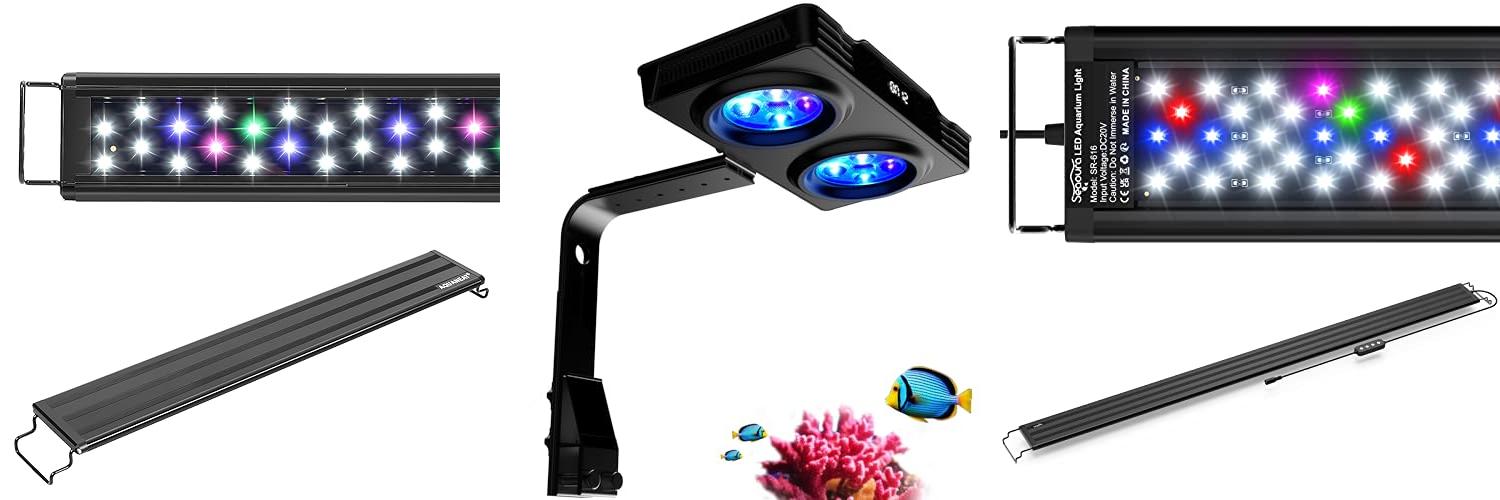 Best Light For 55 Gallon Reef Tank - Top 5 Picks & Review