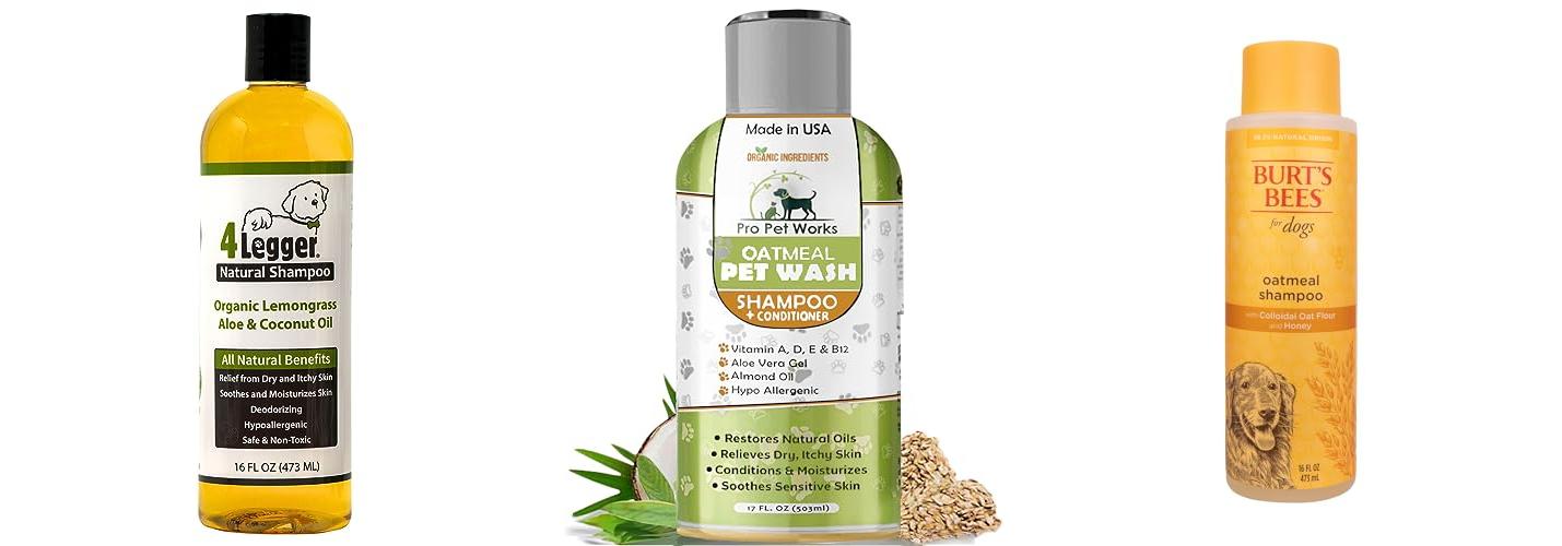 Top 5 Organic Dog Shampoos: Your Pup's Best Wash