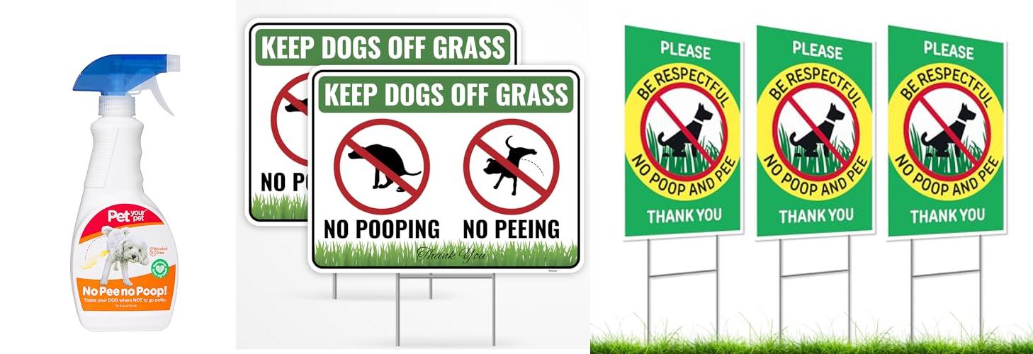 Top 5 Surfaces for Dog Poop Areas: Your Guide
