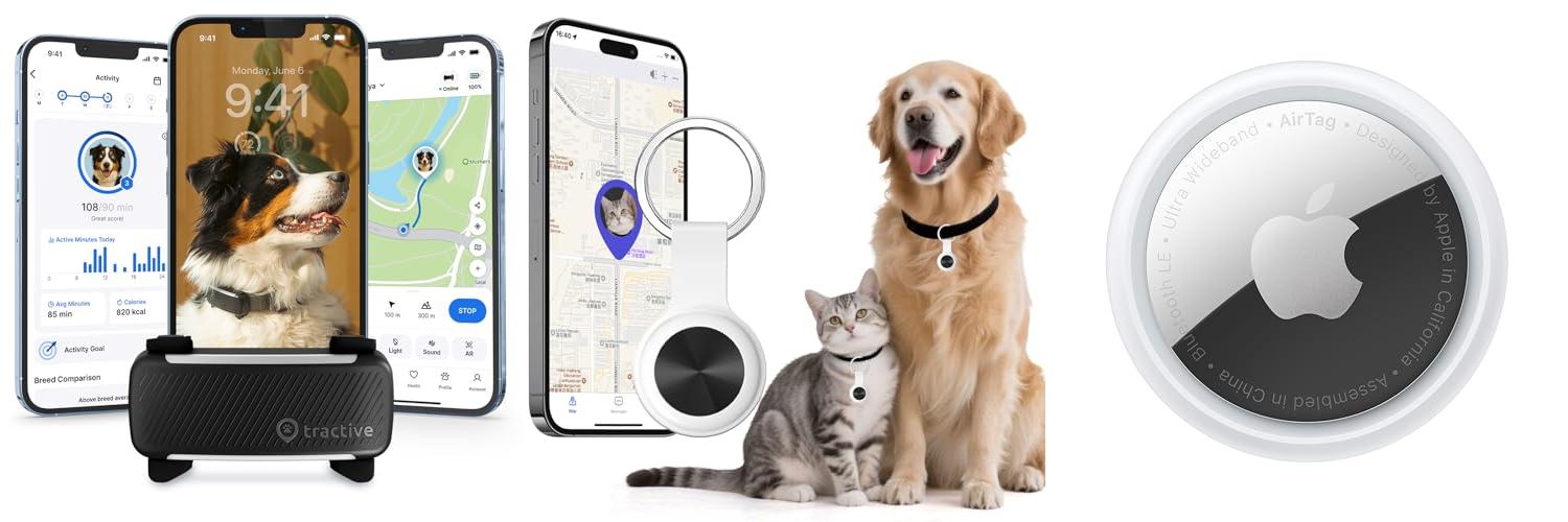 Best Dog Tracker - Top 5 Picks & Review
